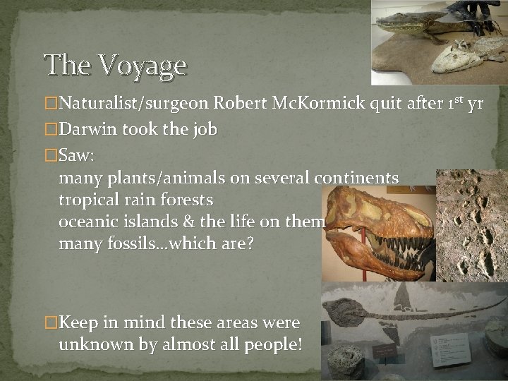 Chapter 11 Pt 1 Evolution Its Processes Charles