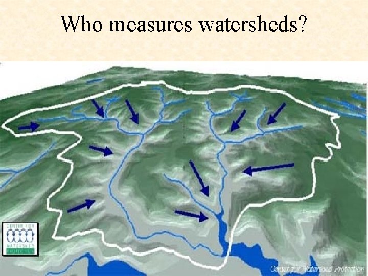 Stream and Watershed Ecology Benjamin Dittbrenner Castoruw edu