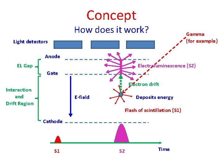 Basics of an Electroluminescence Time Projection Chamber EL