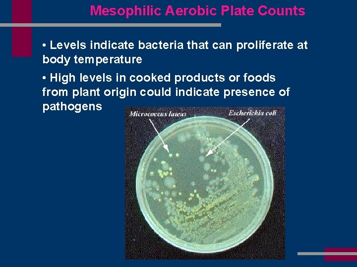 Food Microbiology 1 Unit 2 Indicators in Food