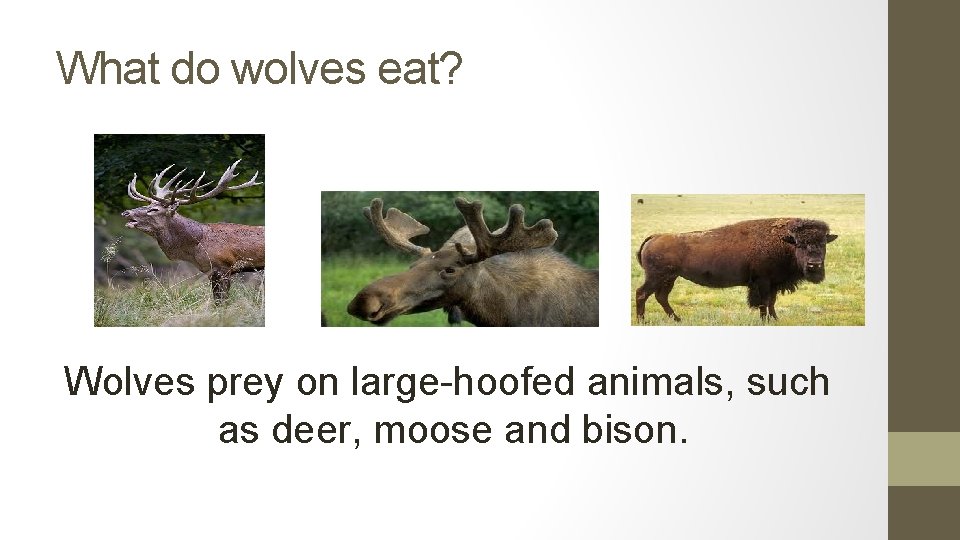 Welcome back to Thursdays English Year 2 Hello