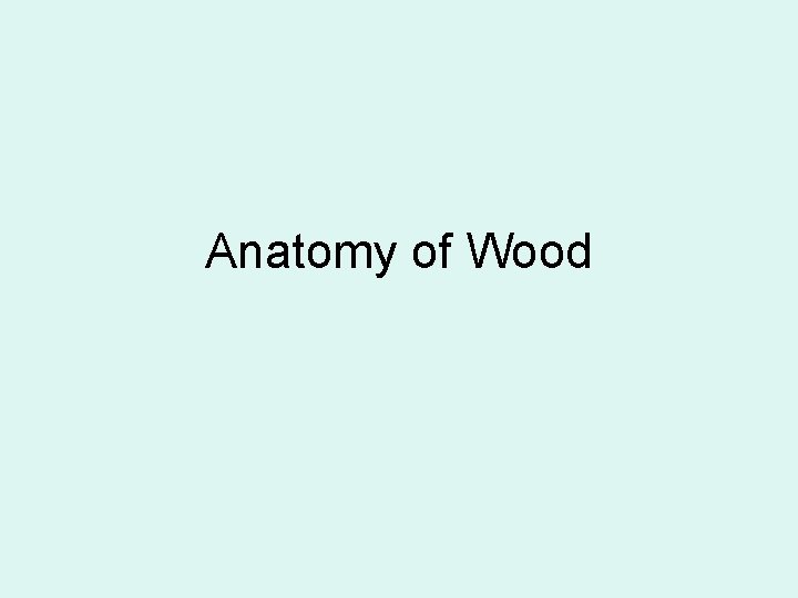 Anatomy of Wood Copy notes on note sheet