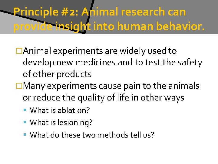 Biological Level of Analysis Review What are nerve