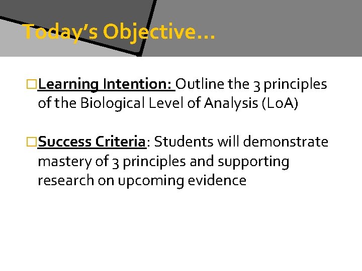 Biological Level of Analysis Review What are nerve