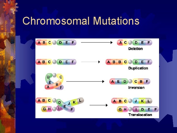 Genetic Abnormalities Mutation any mistake or change in