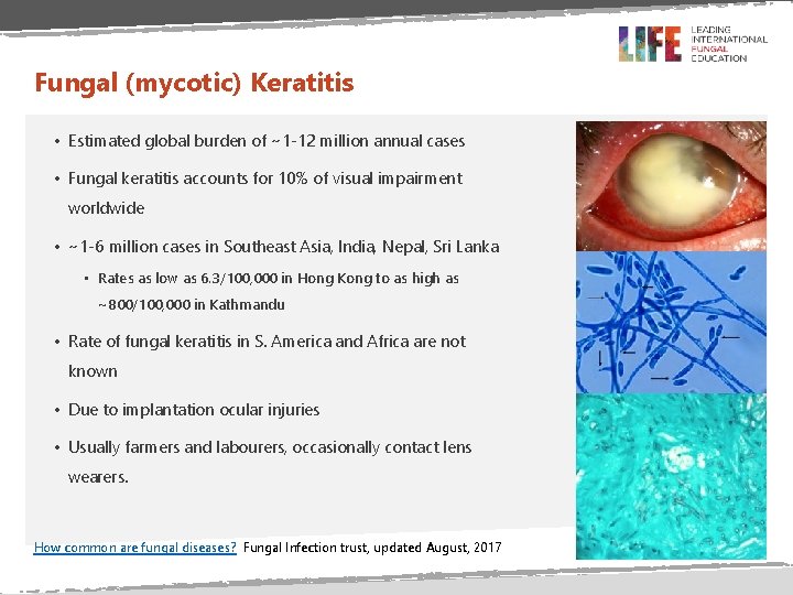 How common are fungal diseases Prof David W