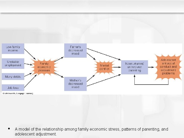 CHAPTER 15 THE FAMILY Learning Objectives How is