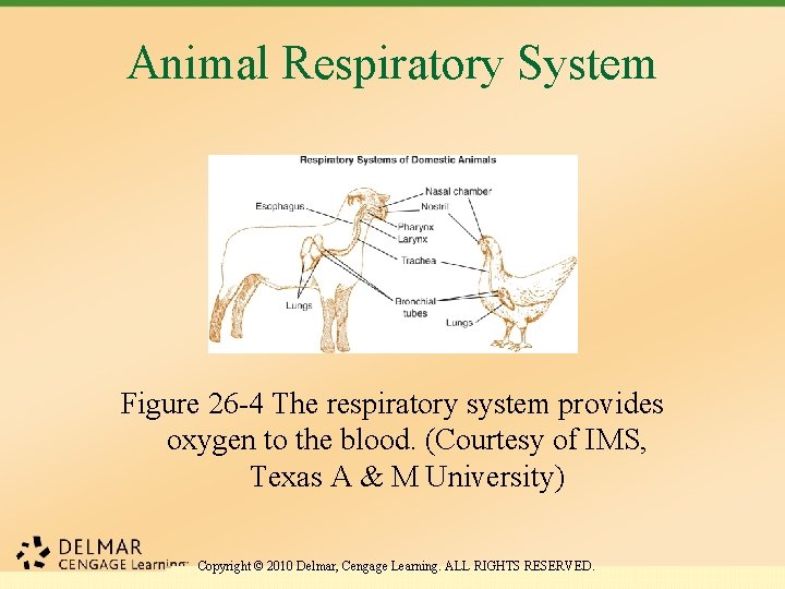 Unit 26 Animal Anatomy Physiology and Nutrition Determine