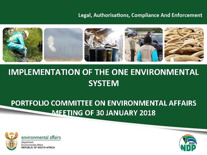 IMPLEMENTATION OF THE ONE ENVIRONMENTAL SYSTEM PORTFOLIO COMMITTEE
