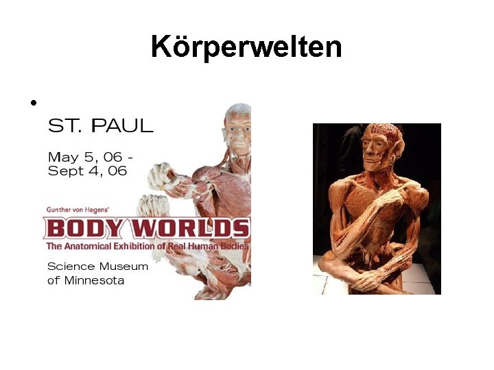 The Challenge of WebBased Molecular Visualization Robert M