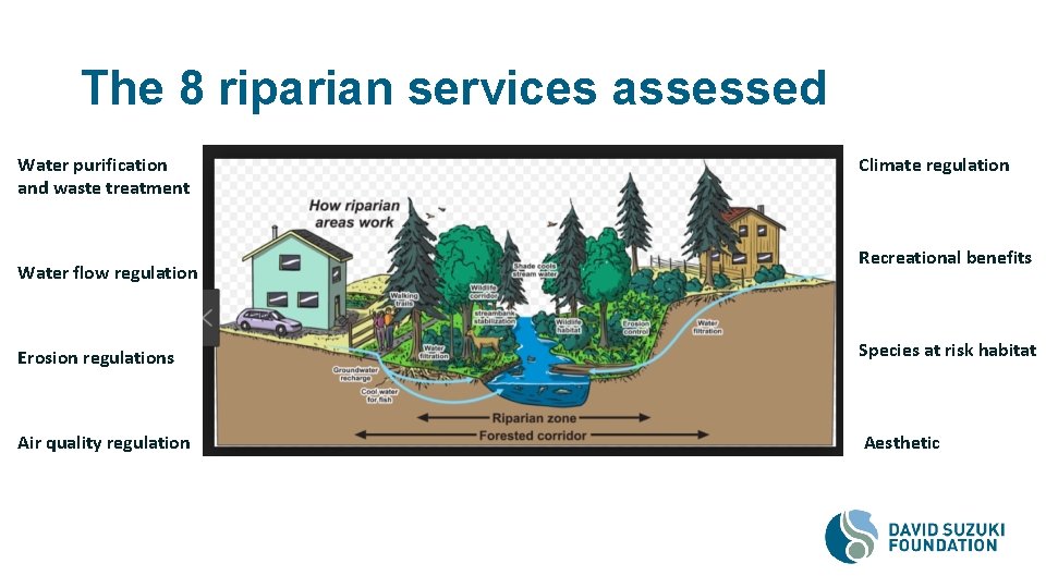 Good riparian management Financial benefits for the public