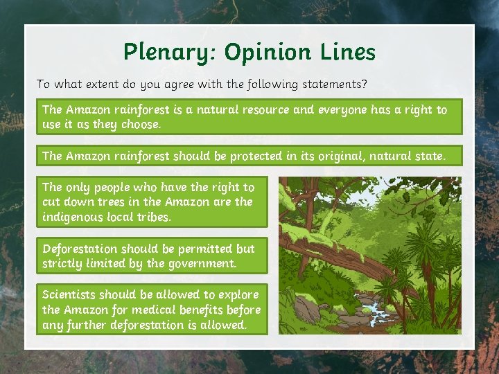 Tropical Rainforests Deforestation in the Amazon Rainforest Learning