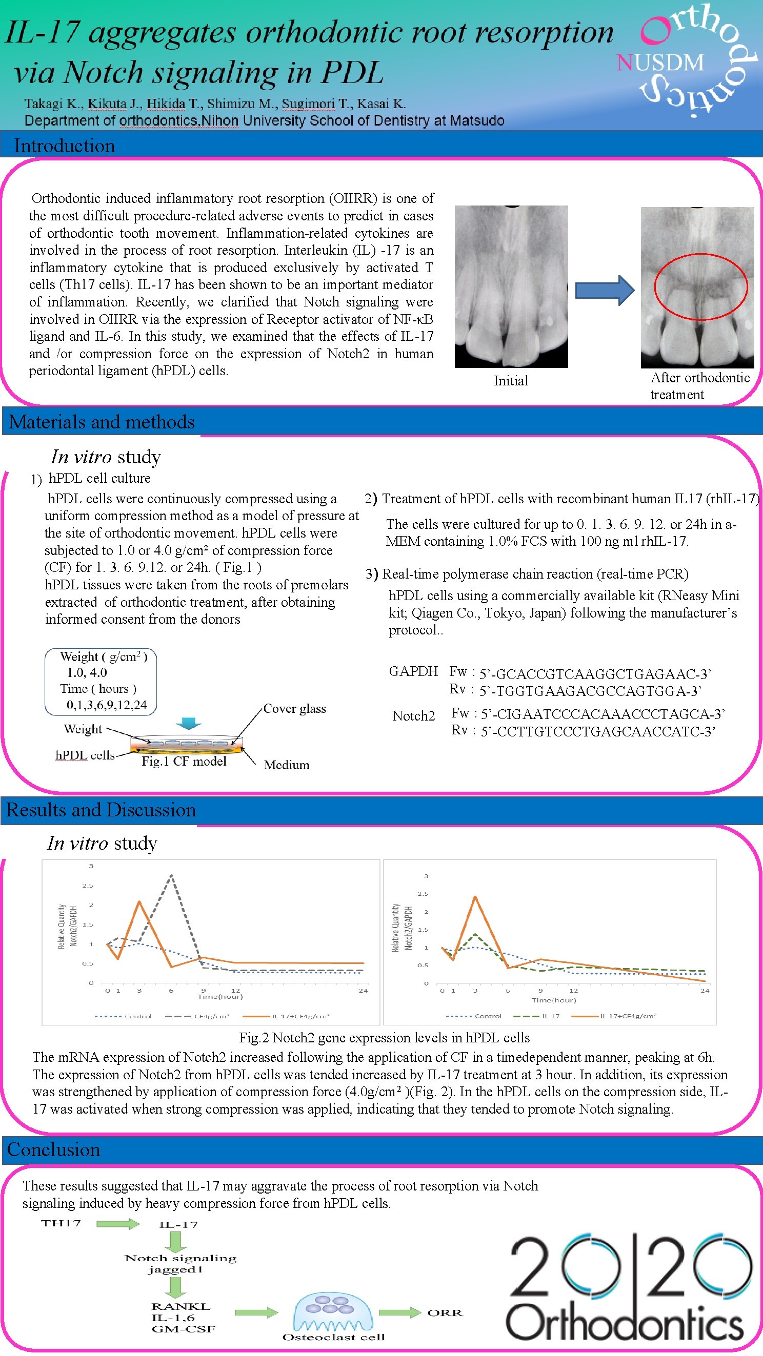 Introduction Orthodontic induced inflammatory root resorption OIIRR is