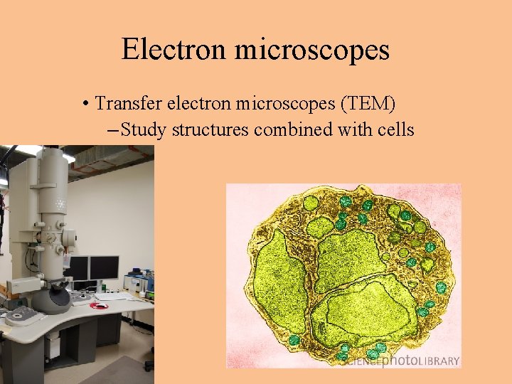 Basic Structure of a Cell 1 Introduction to
