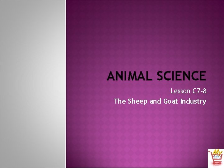 ANIMAL SCIENCE Lesson C 7 8 The Sheep