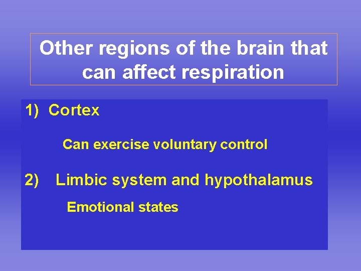 Lectures on respiratory physiology Control of Ventilation Respiratory