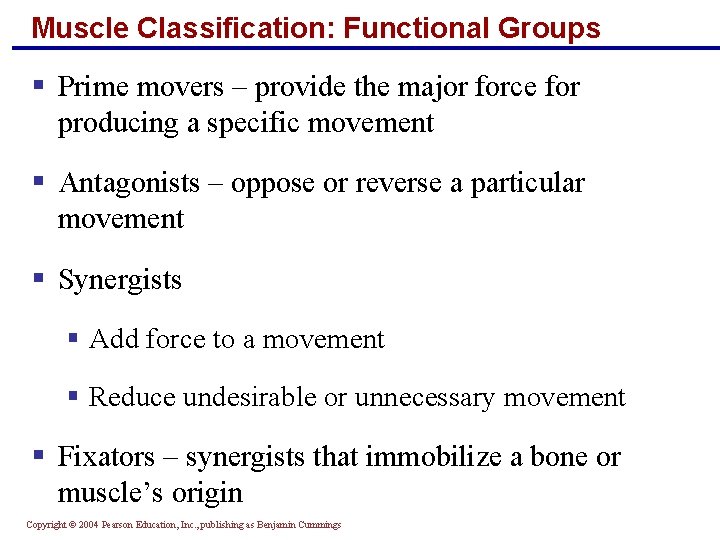 Power Point Lecture Slides prepared by Vince Austin