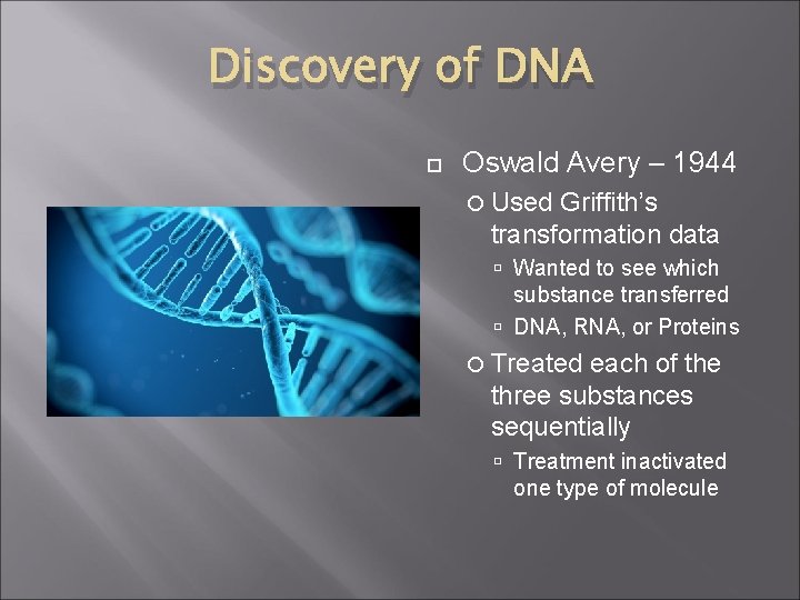 MOLECULAR BASIS OF INHERITANCE Chapter 16 Discovery of