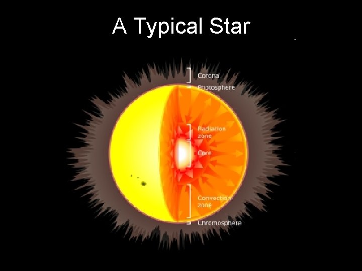 Life Cycle of a Typical Star Objectives How
