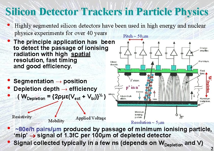 Silicon Tracking Detectors for Hadron Beam Monitoring and