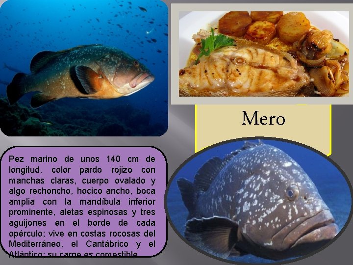 PESCADO BLANCO Los beneficios para la salud son