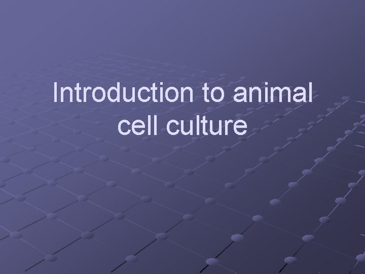 Introduction to animal cell culture CELL CULTURE Why
