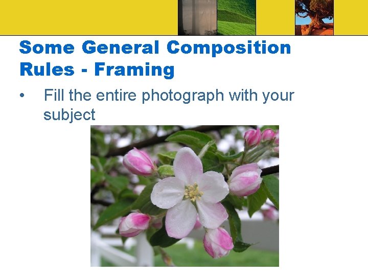 Picture Composition There are two parts to taking