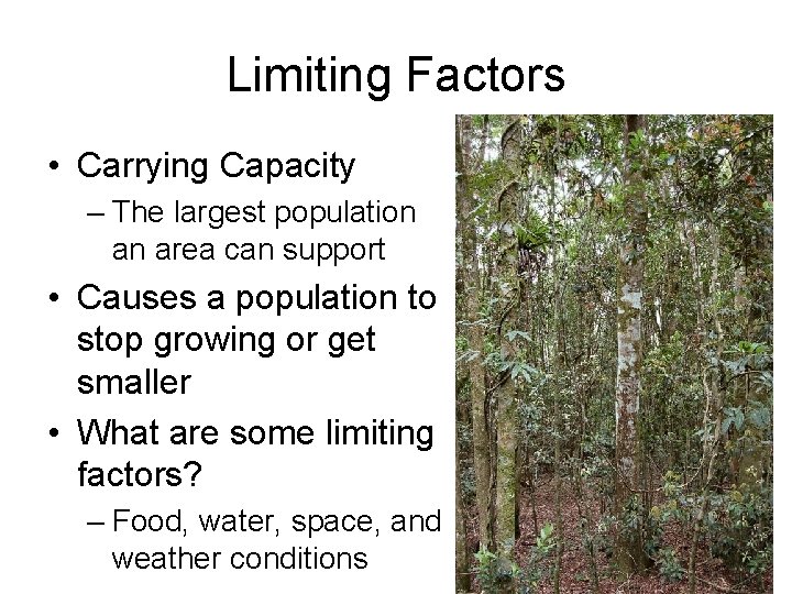 Ecology Studying Populations Levels of Organization Levels of