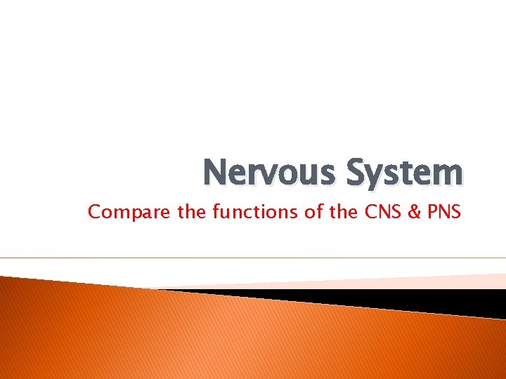 Nervous System Compare the functions of the CNS