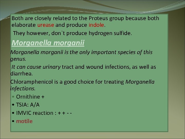 Diagnostic microbiology lecture 3 Enterobacteriaceae Abed El Kader
