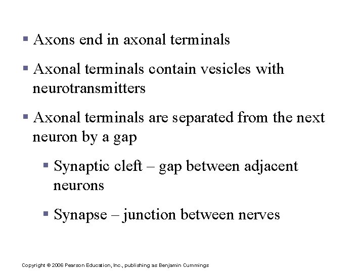 7 The Nervous System PART A Power Point