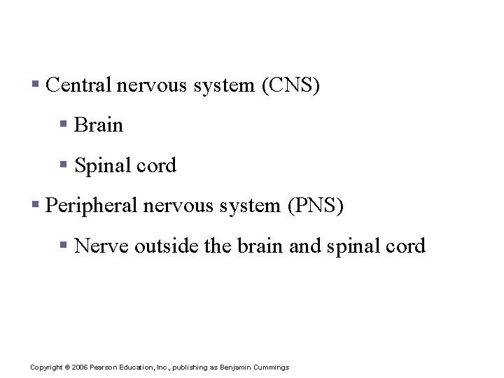 7 The Nervous System PART A Power Point