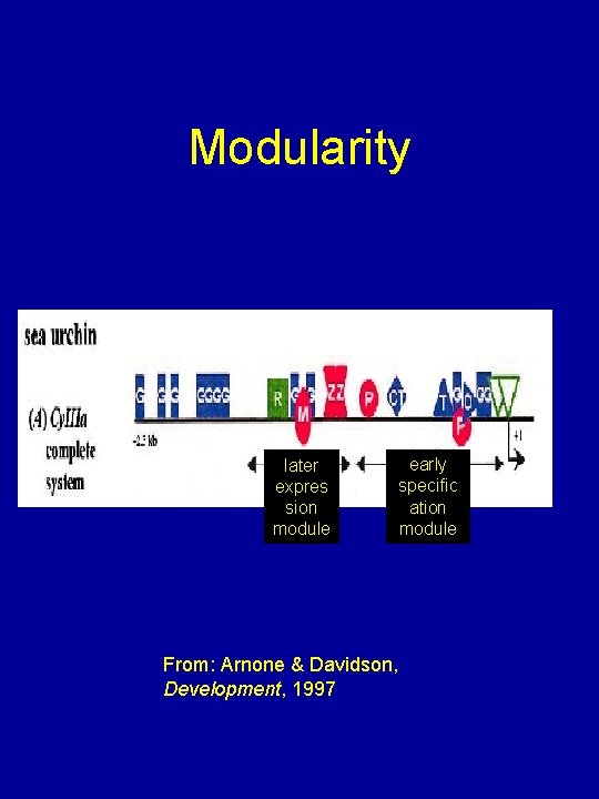 What is the Best Way to Find the