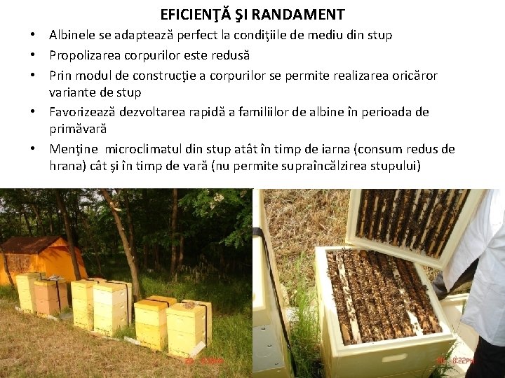 FAROSTUP stup din poliuretan rigid stup vertical multietajat