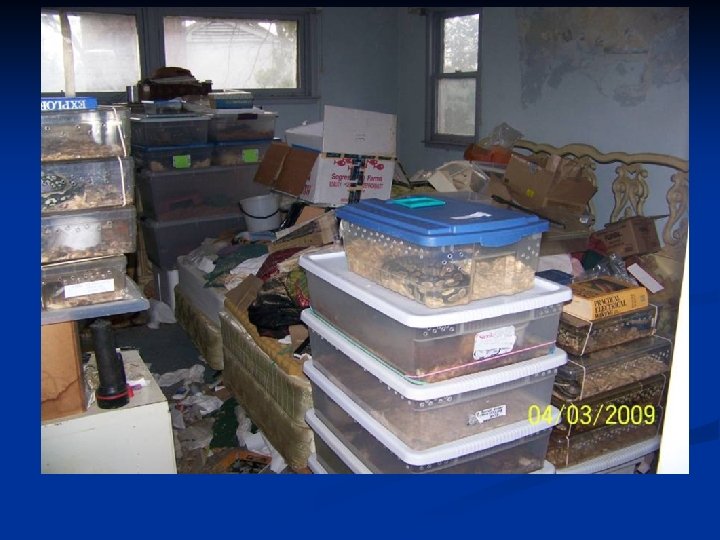 HOARDING Tackling the Broader Issues The Task Force