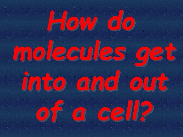 Basic Cell Structure The Cell Membrane The outside