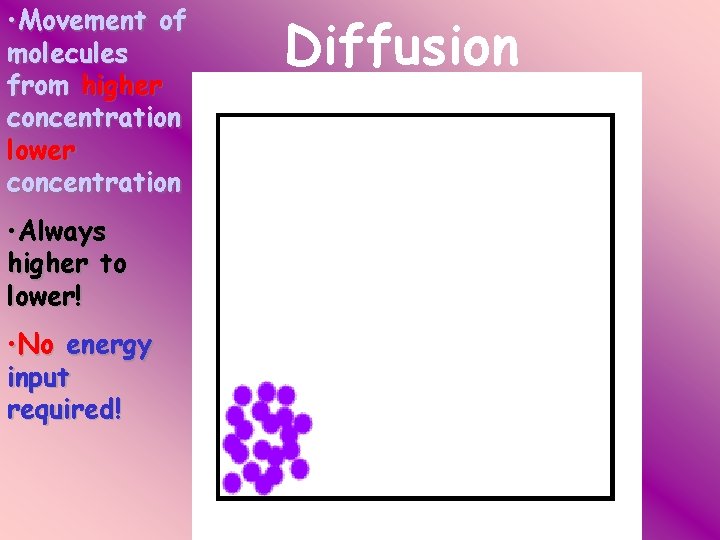 Basic Cell Structure The Cell Membrane The outside
