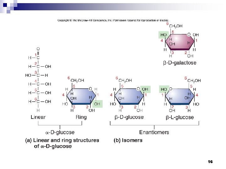CHAPTER 3 THE CHEMICAL BASIS OF LIFE II