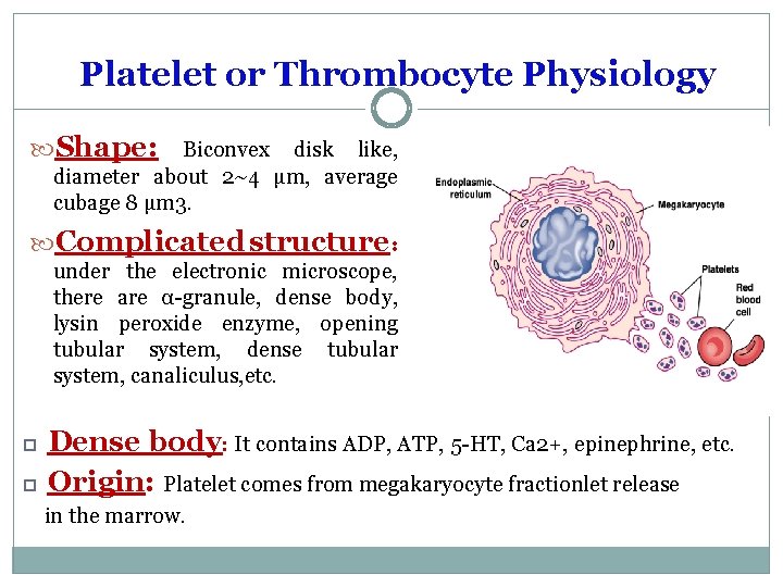Blood 1 Basic Principles of Hemostasis Objectives 2