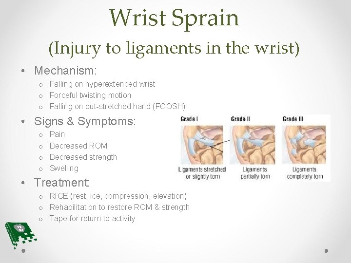 Injuries Part 1 Sprains Strains of the Wrist