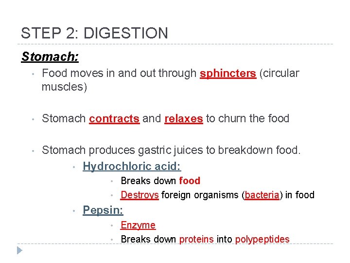 DIGESTION SBI 3 C NOVEMBER 2010 DIAGRAM OF