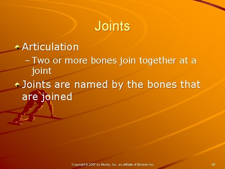CHAPTER 14 SKELETAL SYSTEM Copyright 2007 by Mosby