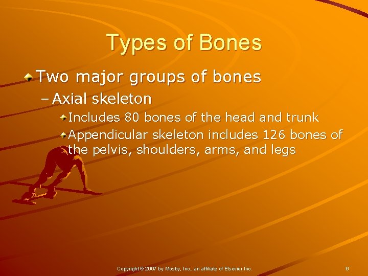 CHAPTER 14 SKELETAL SYSTEM Copyright 2007 by Mosby