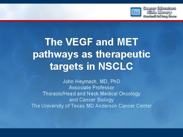 The VEGF and MET pathways as therapeutic targets