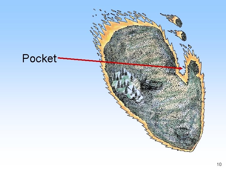 Unit 1 Basic Concepts of Wildland Fire 1