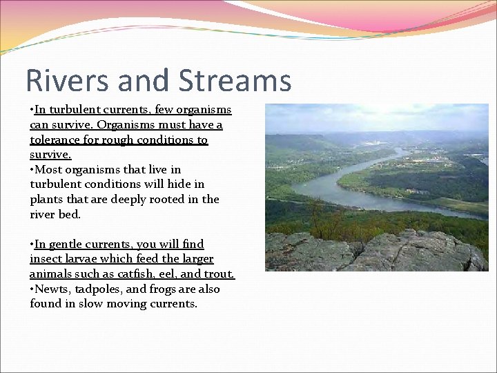 Aquatic Ecosystems 3 3 Remember Ecosystems Biosphere most