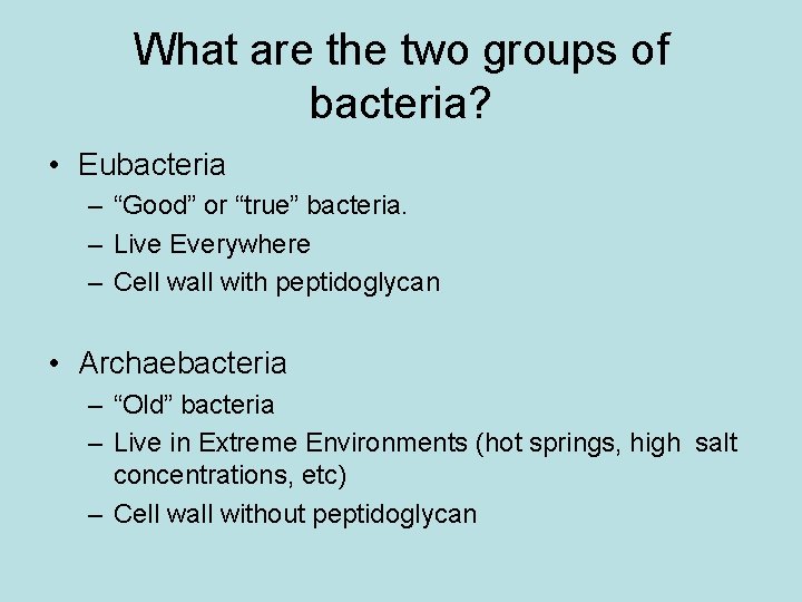 Bacteria Jason Burton What are the two groups