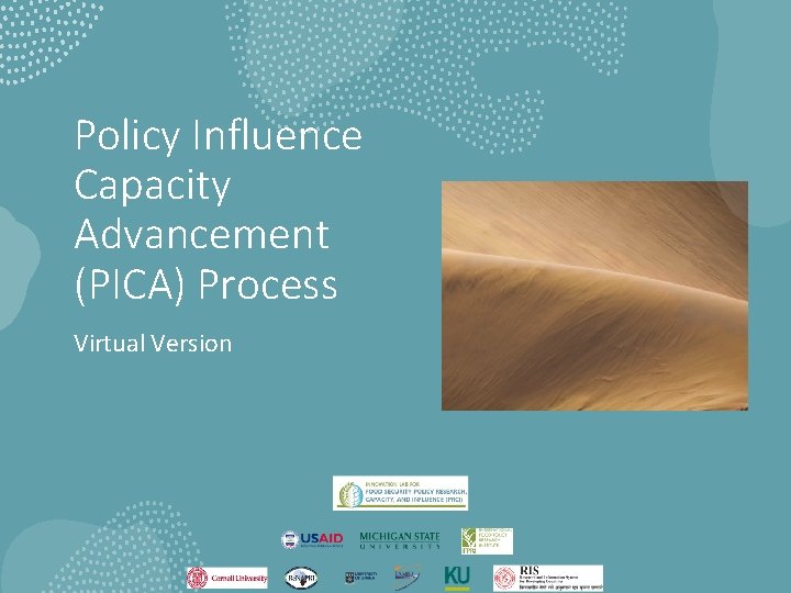 Policy Influence Capacity Advancement PICA Process Virtual Version