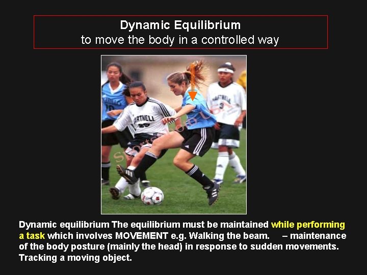 THE SPECIAL SENSES VESTIBULAR FUNCTION DR SYED SHAHID