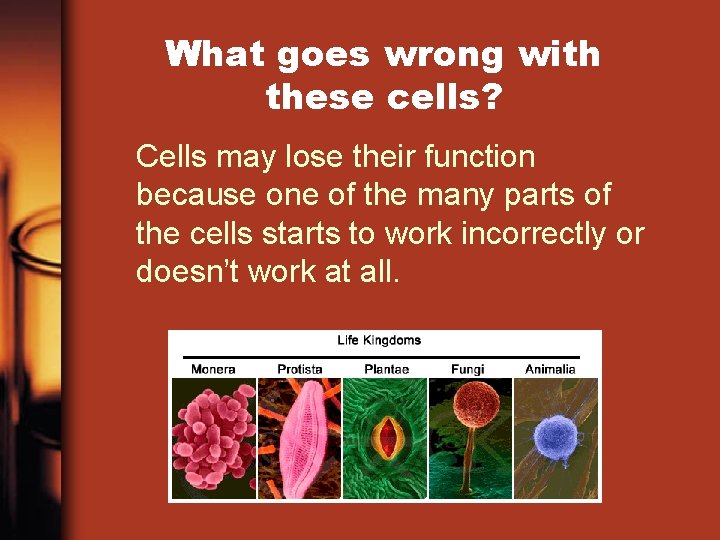 Cellular Disorders Everything that our bodies do each